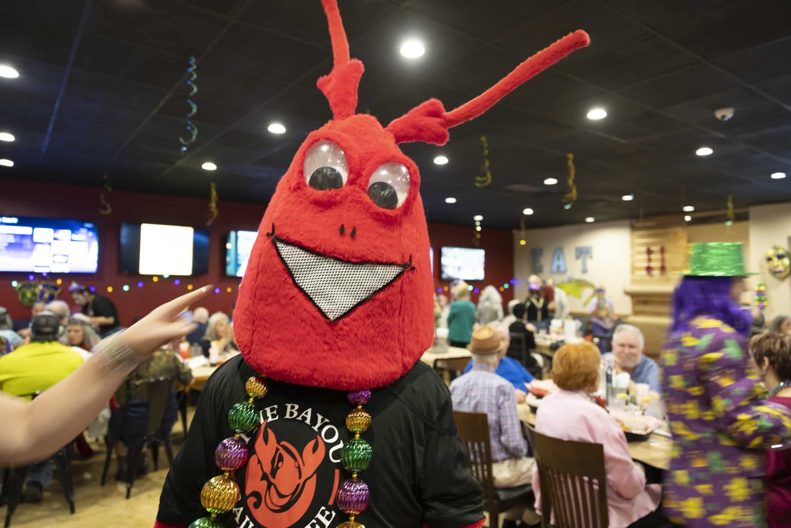 Photo gallery: Mardi Gras around Kerrville – The Kerr County Lead