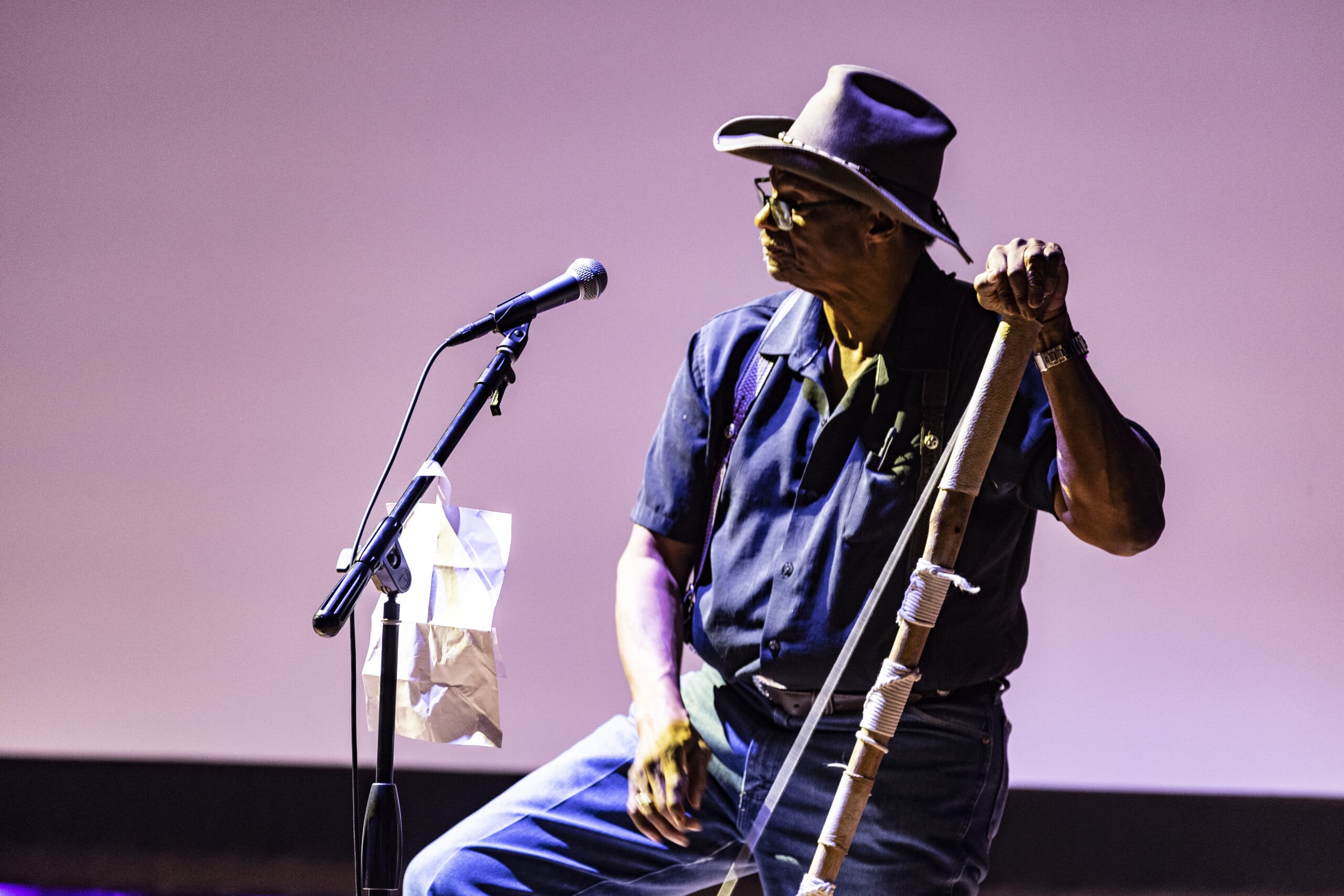 Photo gallery: Voices of Doyle documentary debut at Arcadia Live! – The ...
