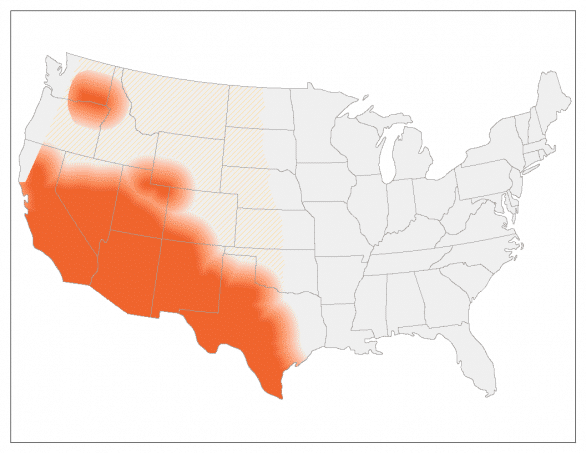 No we're not facing a zombie outbreak, but fungal threat is growing ...