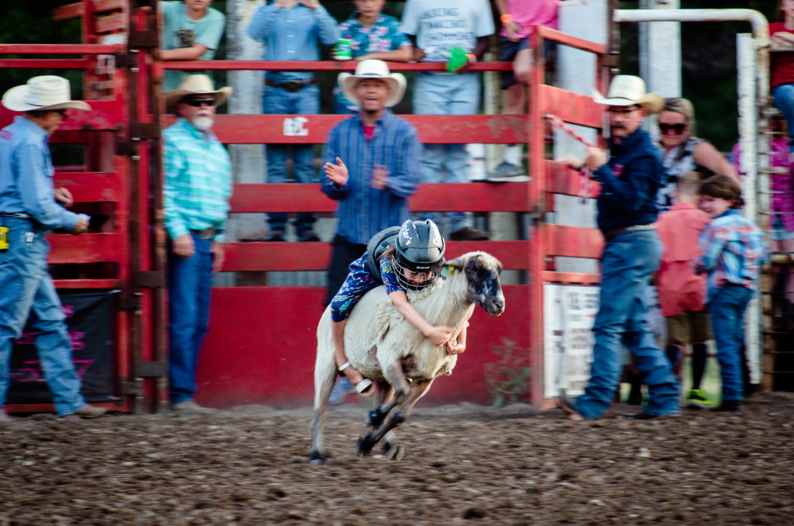 Photo gallery: A night at Crider's – The Kerr County Lead