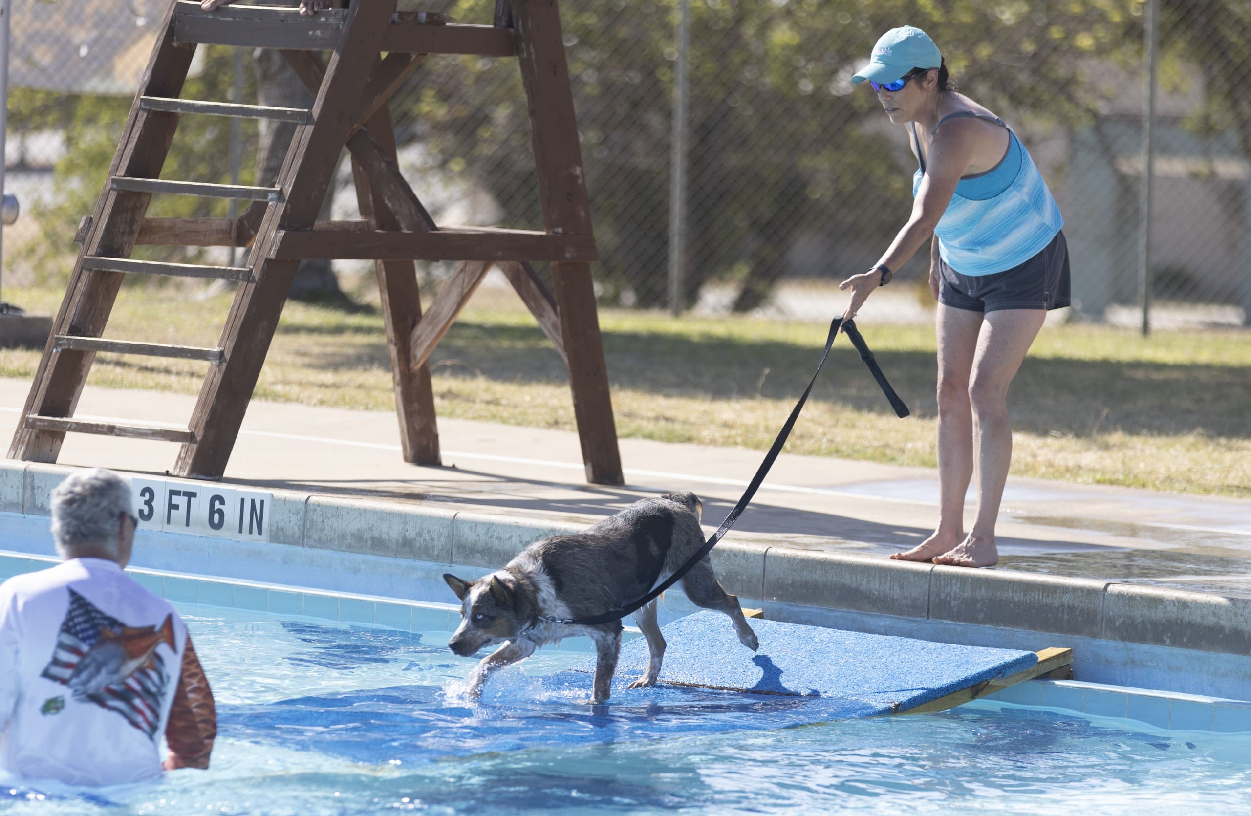 Photo gallery: Kerrville's annual Wet and Wag at the Olympic Pool – The ...