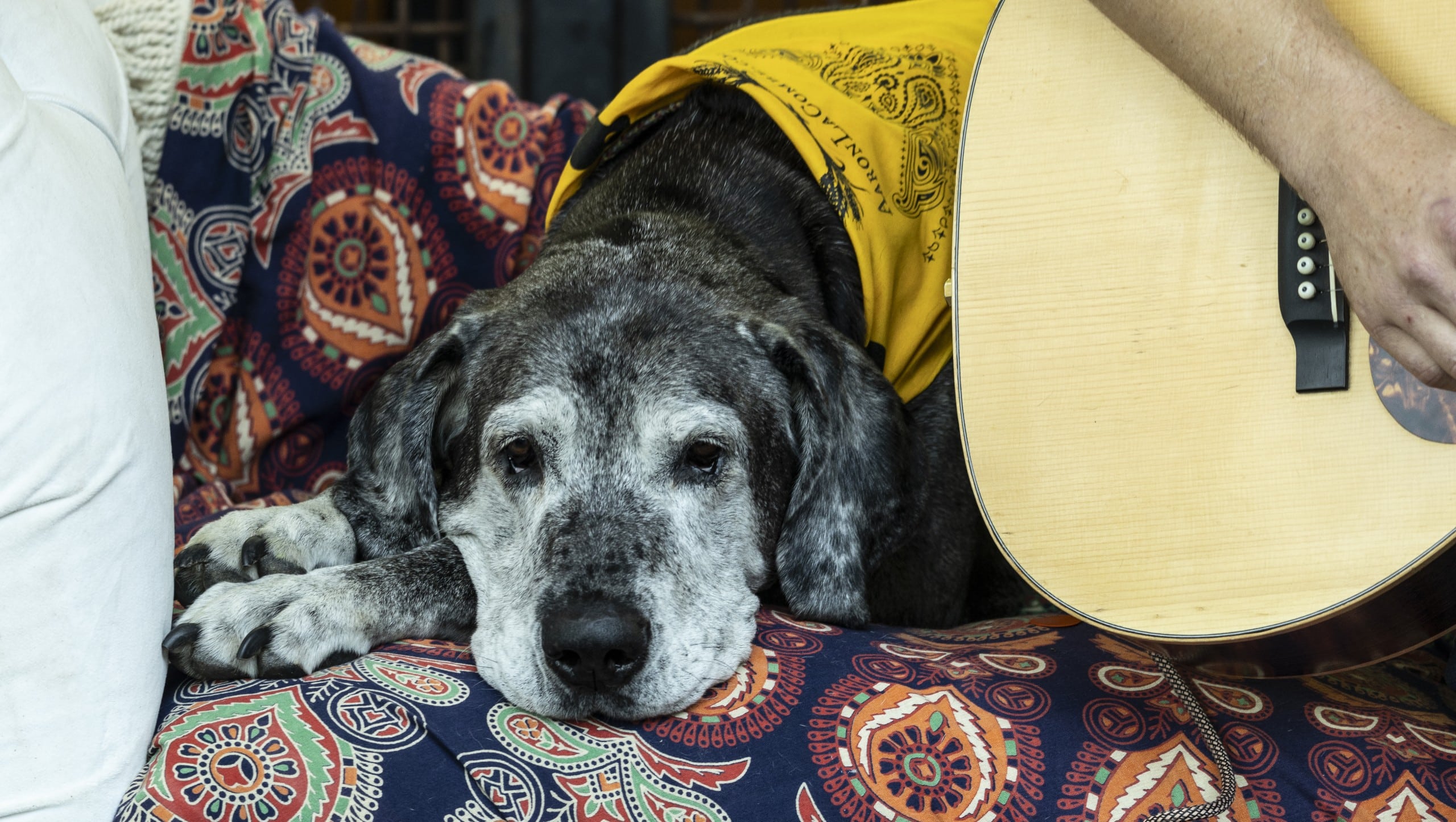 Photo gallery: Aaron Lacombe & Friends at Pint and Plow – The Kerr ...