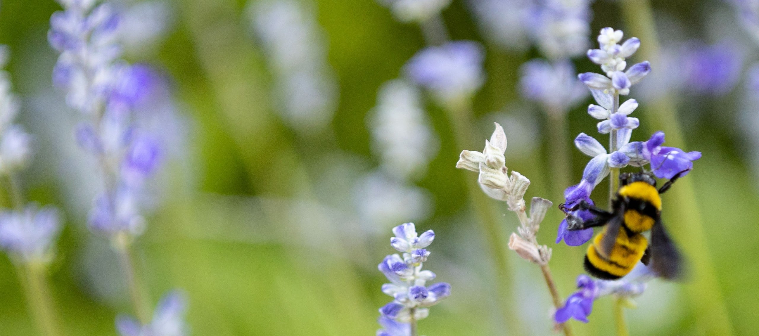 73 things to do in Kerr County, Aug. 19-25, 2024 – The Kerr County Lead