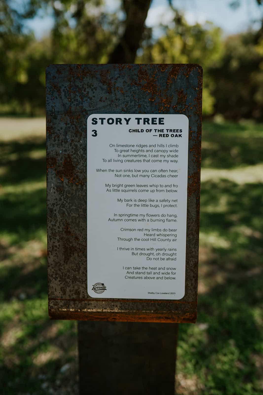 Tell the story of your favorite river trail tree – The Kerr County Lead